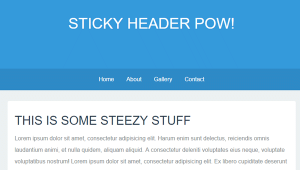STICKY HEADER CSS TRANSITION
