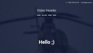 VIDEO HEADER