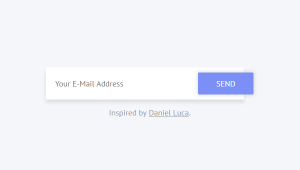 EMAIL INPUT FIELD