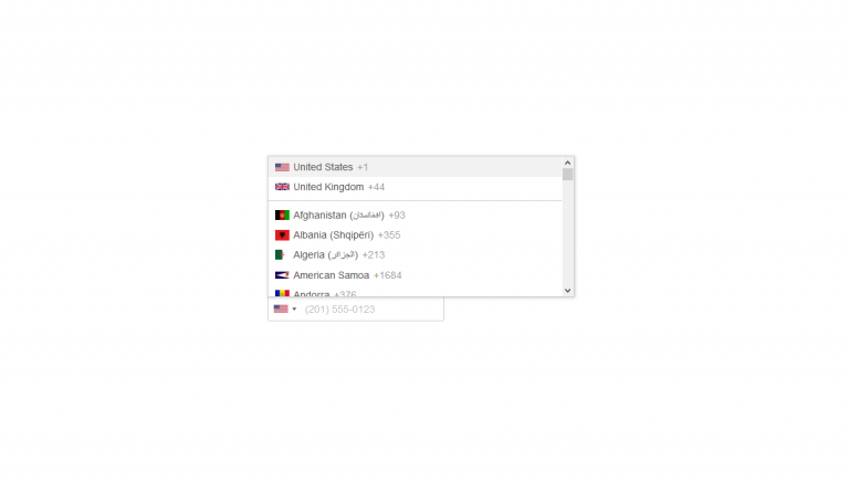 INTERNATIONAL TELEPHONE INPUT