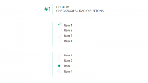 CUSTOM CHECKBOXES/RADIO BUTTONS
