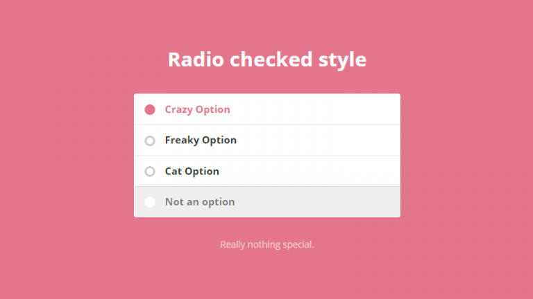 RADIO CHECKED STYLE