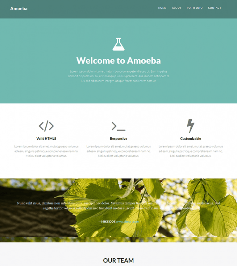 Free one page bootstrap template – Amoeba