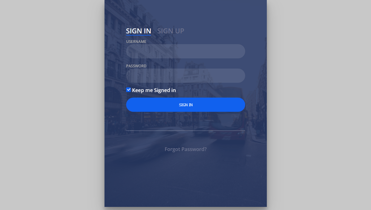 LOGIN FORM