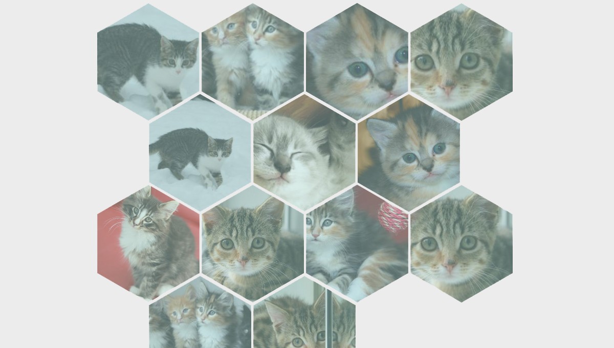 RESPONSIVE HEXAGONAL GRID