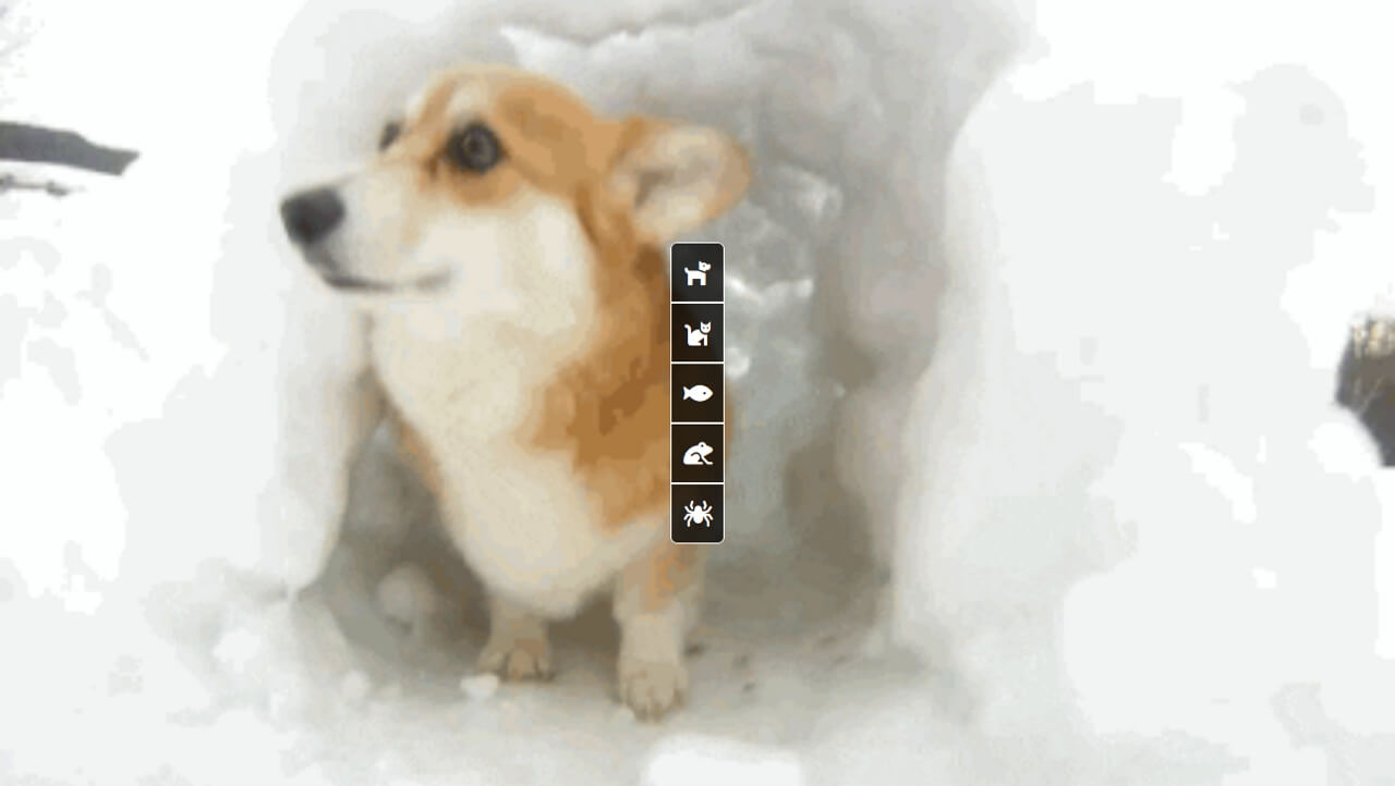 MULTI-BUTTONS - ANIMALS