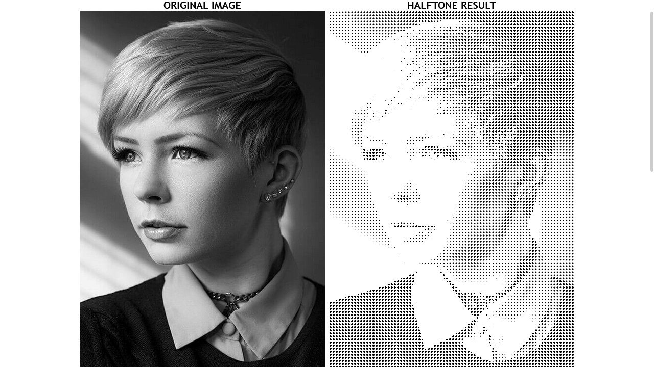 PURE CSS HALFTONE PORTRAIT FROM .JPG SOURCE