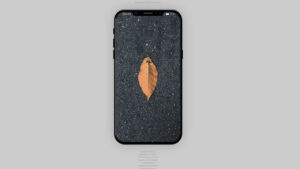 THE IPHONE X CSS ILLUSTRATION